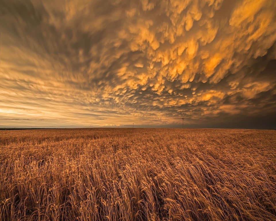 Hesston Antiques – Stores of Hesston Kansas